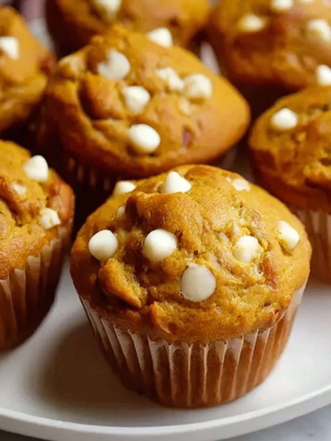 Moist Pumpkin White Chocolate Chip Muffins